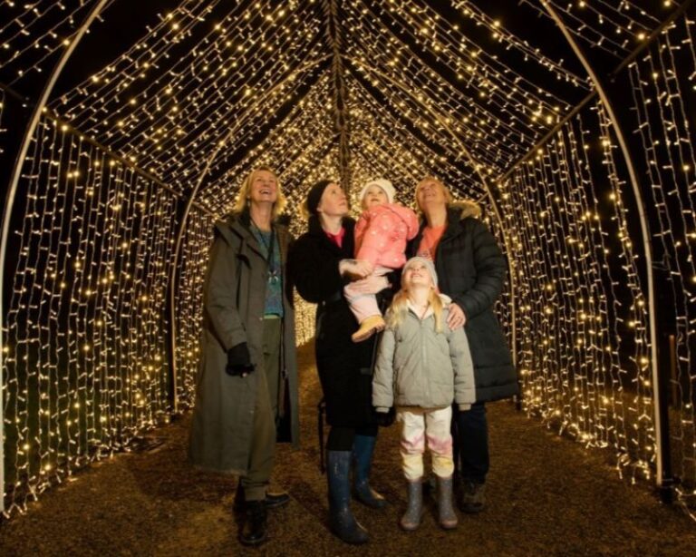 Aglow at Auckland Palace: A spectacular Christmas light trail